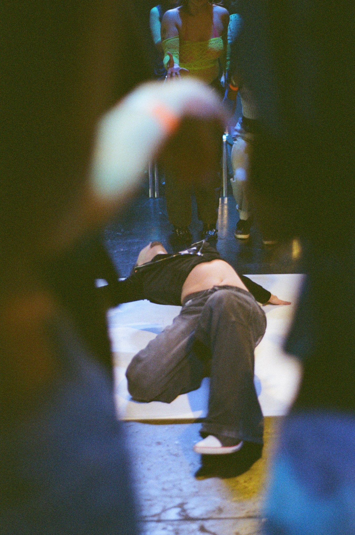 colours and rabbit holes – Panchito‘s Diary